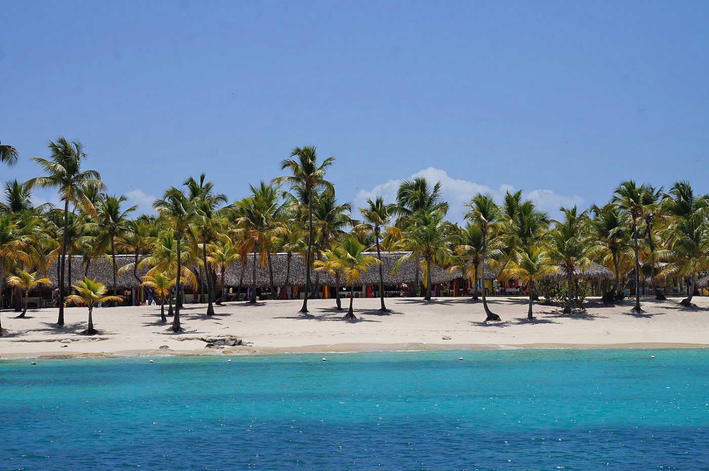 Excursión de Snorkeling a Isla Catalina desde Bayahibe | WannaBoats
